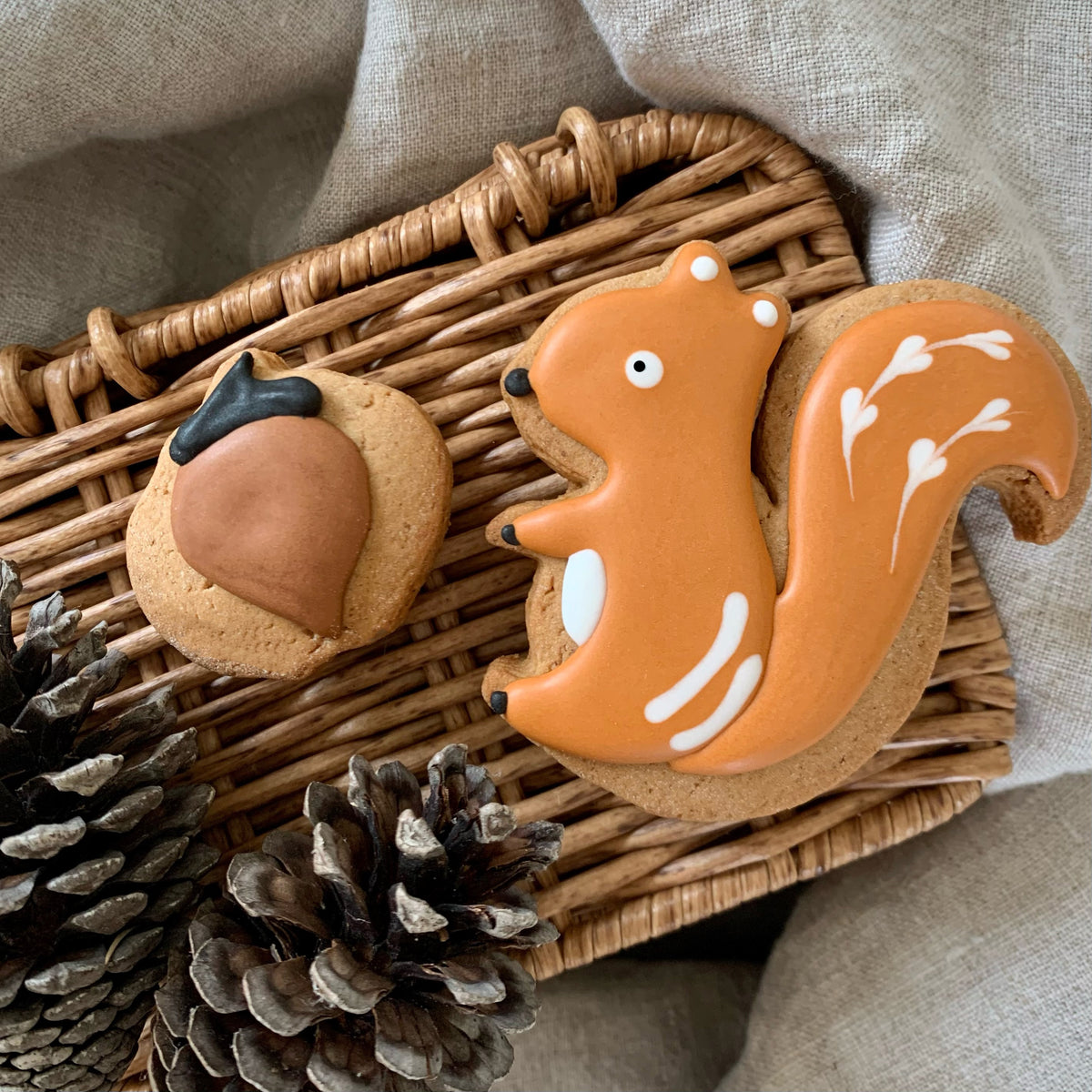 Squirrel and Acorn – adrisgingerbread